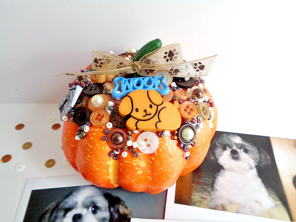 DIY Decorative Pet Pumpkin